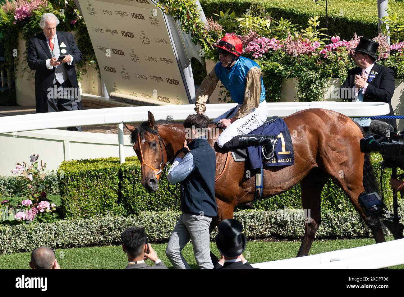 Breeder hyde park stud hi-res stock photography and images - Alamy