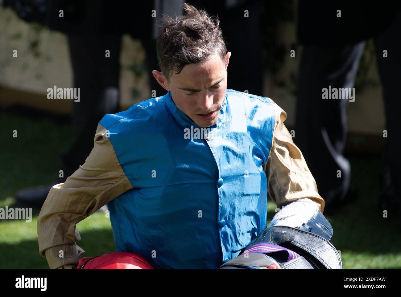 Breeder hyde park stud hi-res stock photography and images - Alamy