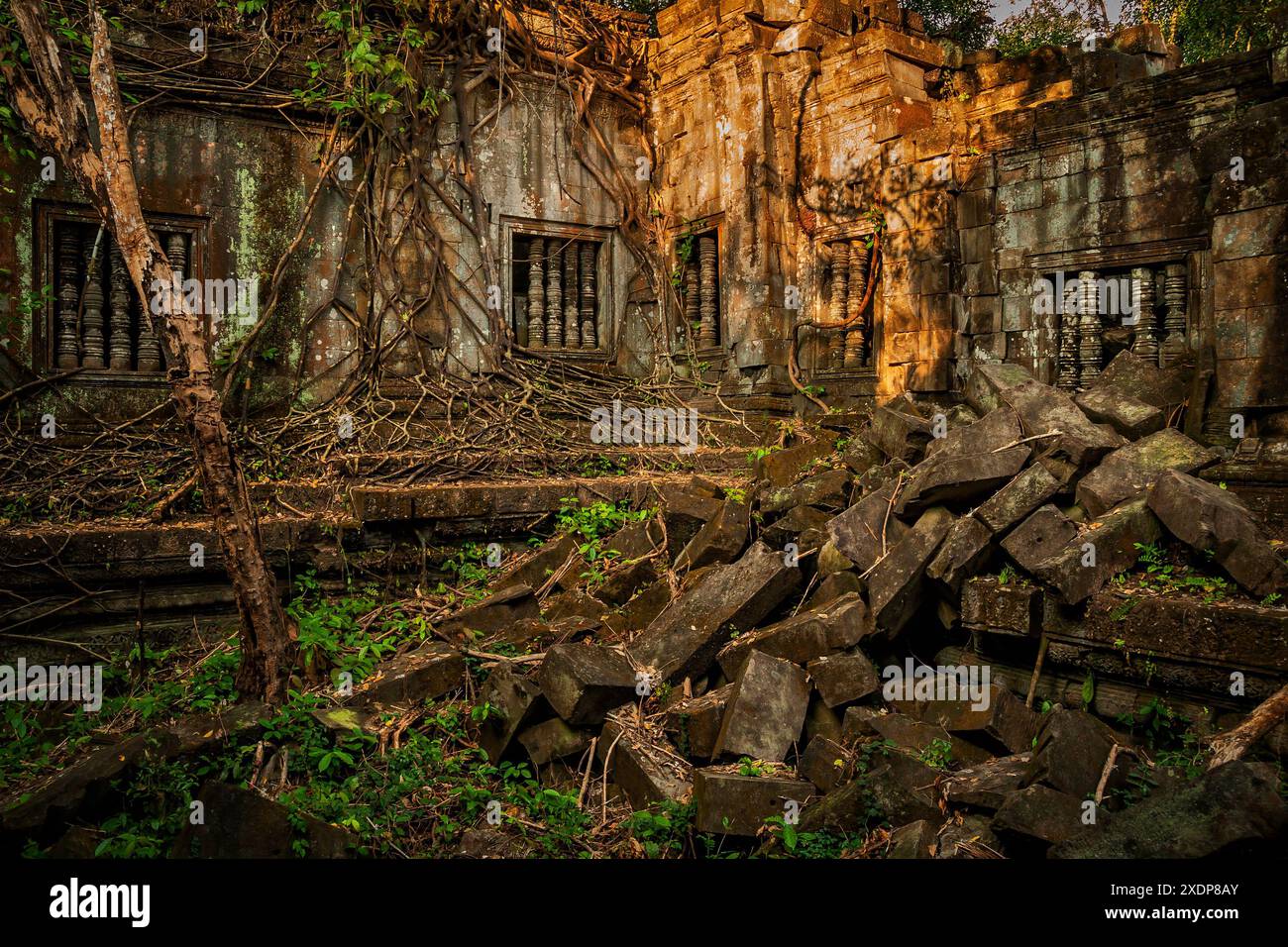 Beng Mealea temple ruins in Siem Reap province, Cambodia. Jungle temple ...