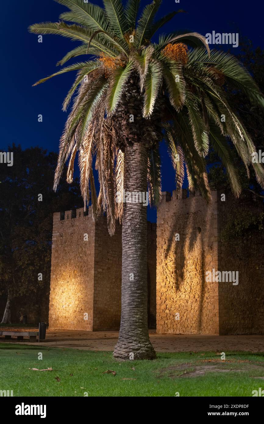 Palm tree and Porta de Sao Goncalo fortified gate at night in Lagos ...