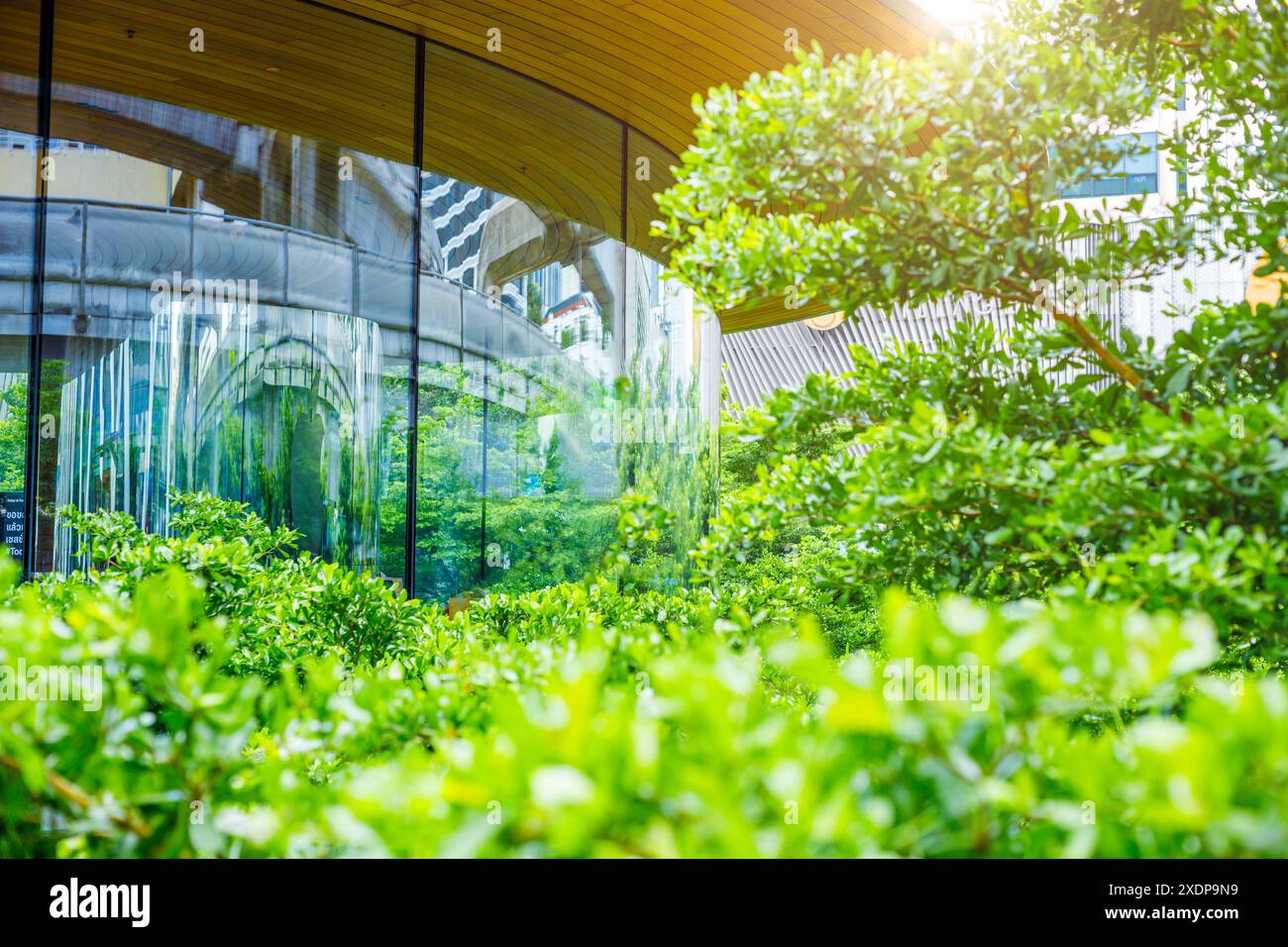Green city, Modern glass building with Park Green tree. Urban office ...