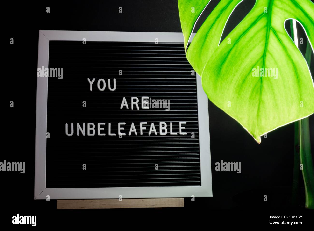 Caption saying YOU ARE UNBELEAFABLE unbelievable Indoors garden healthy space biophilia design ...