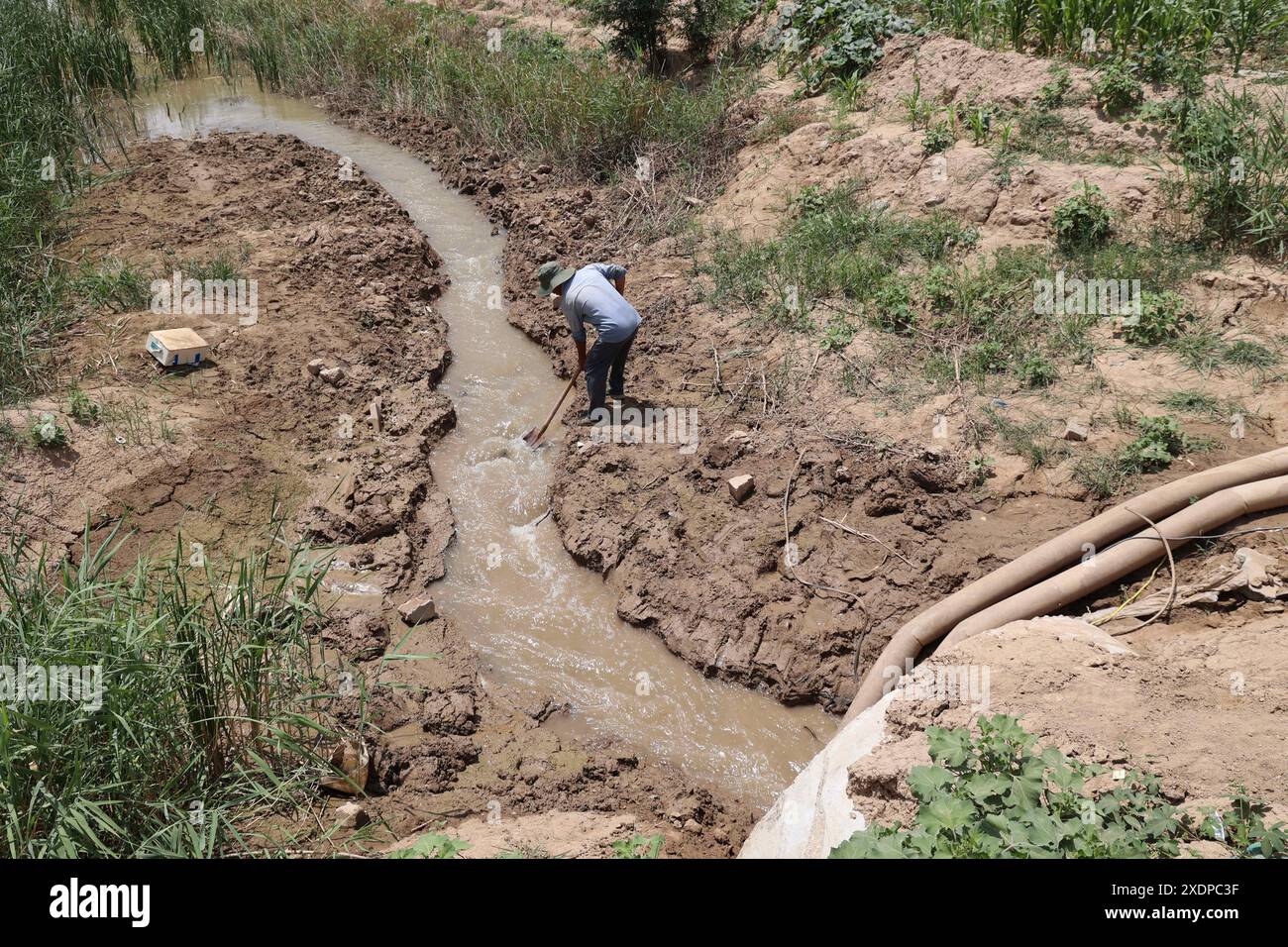 BINZHOU, CHINA - JUNE 24, 2024 - A farmer pumps water from the Yellow ...