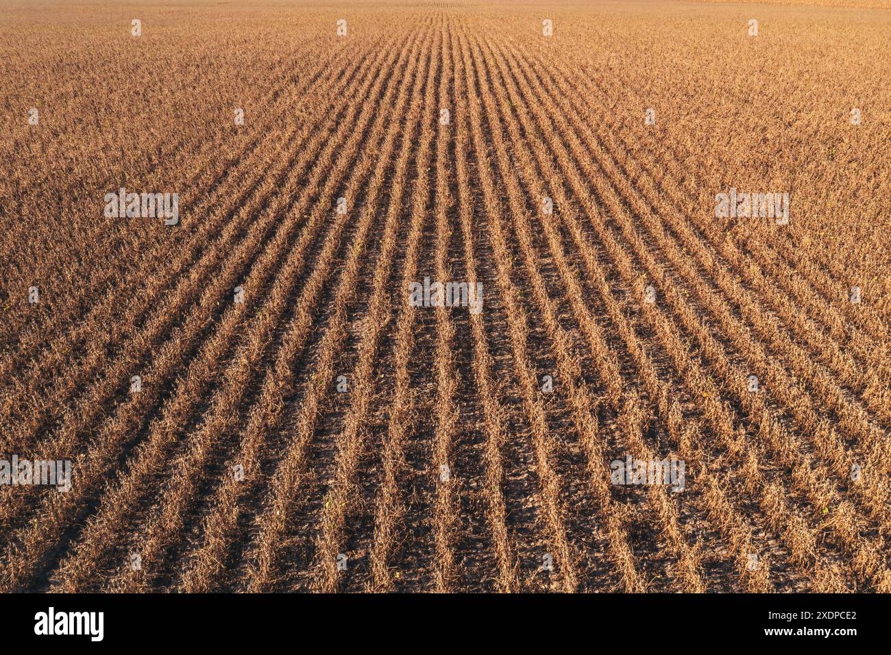 Aerial perspective photography hi-res stock photography and images - Alamy