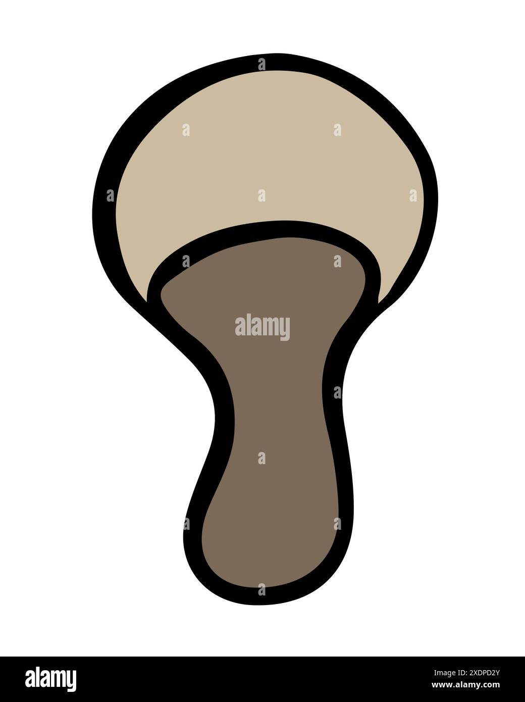 Vector isolated illustration of champignon mushroom on white background ...