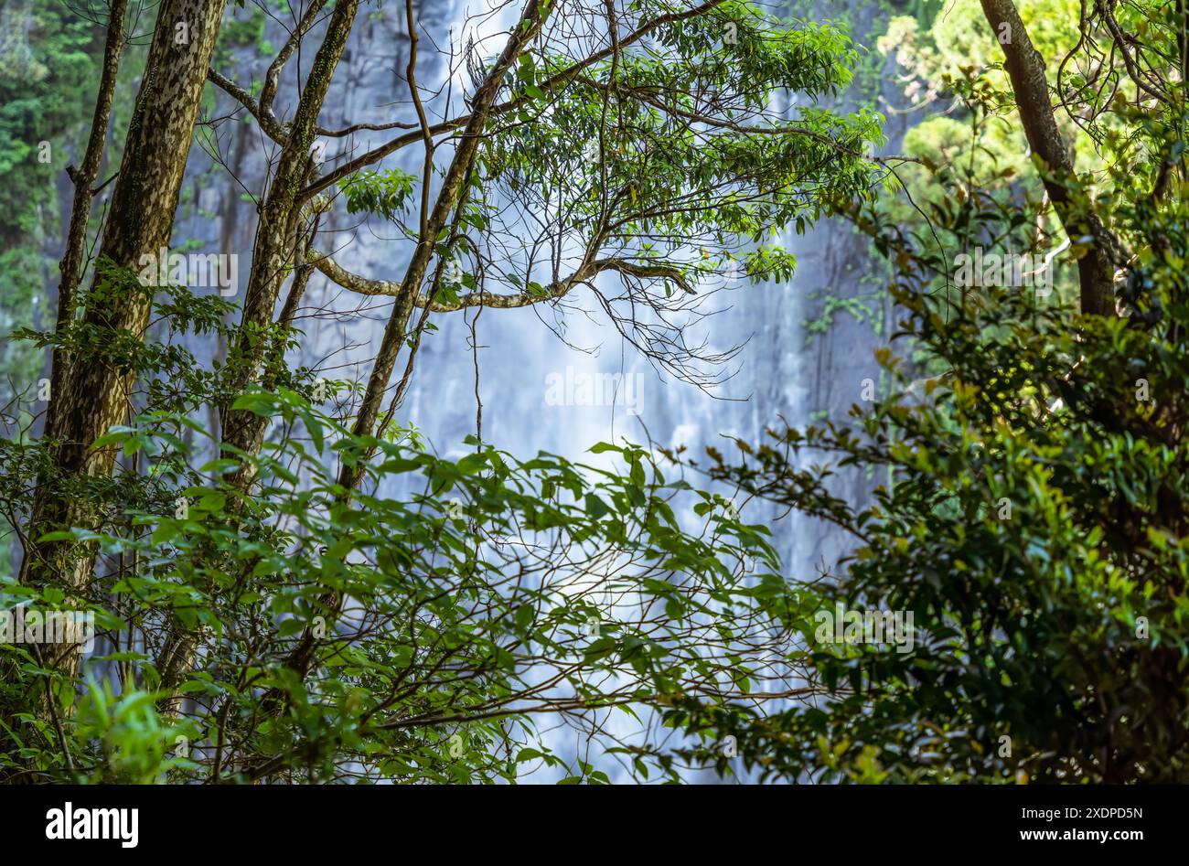 View with Nachi Waterfall located in Nachikatsuura, Wakayama, Japan ...