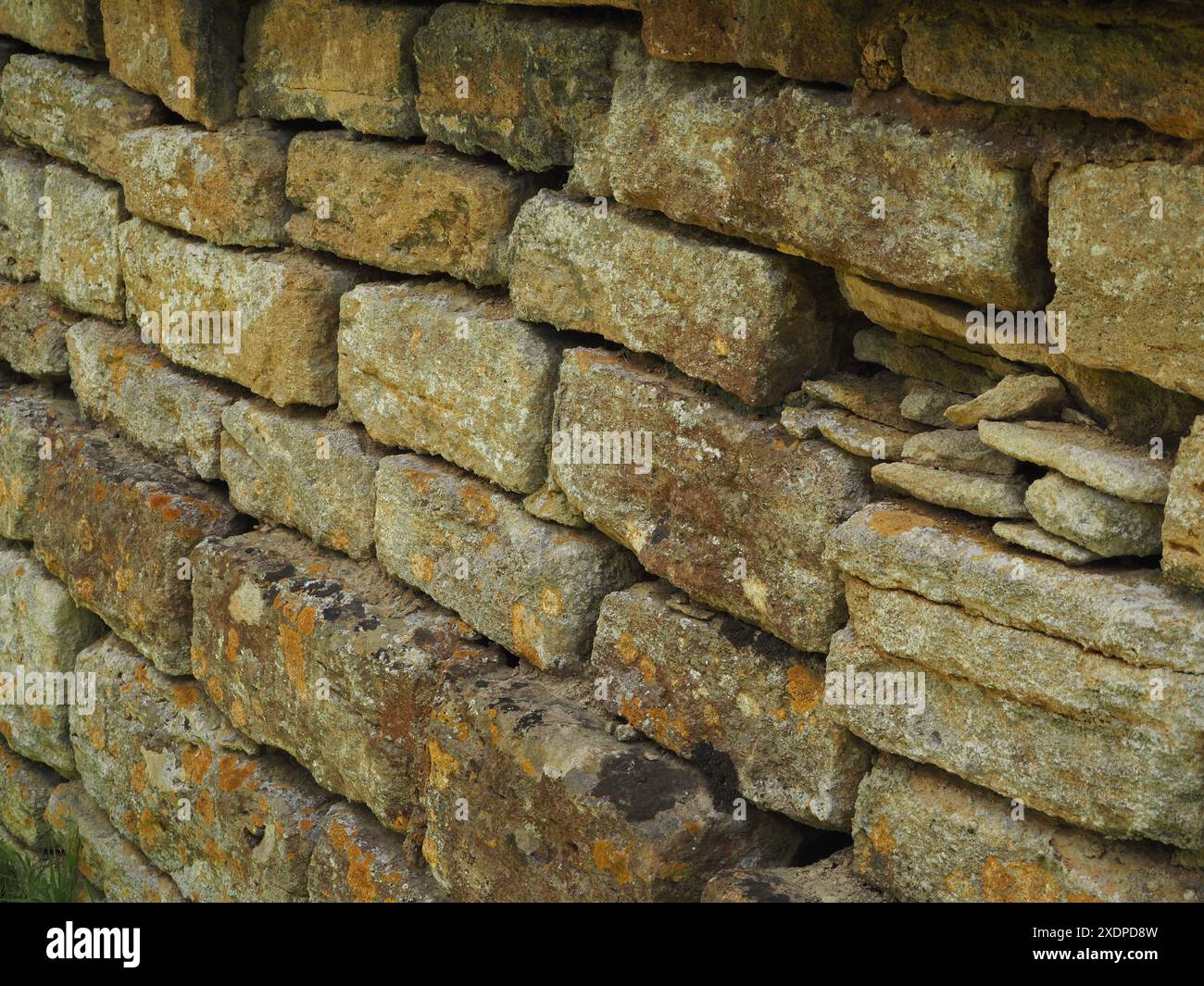 Close up of dry stone wall with lichen growths, St Michael's churchyard ...