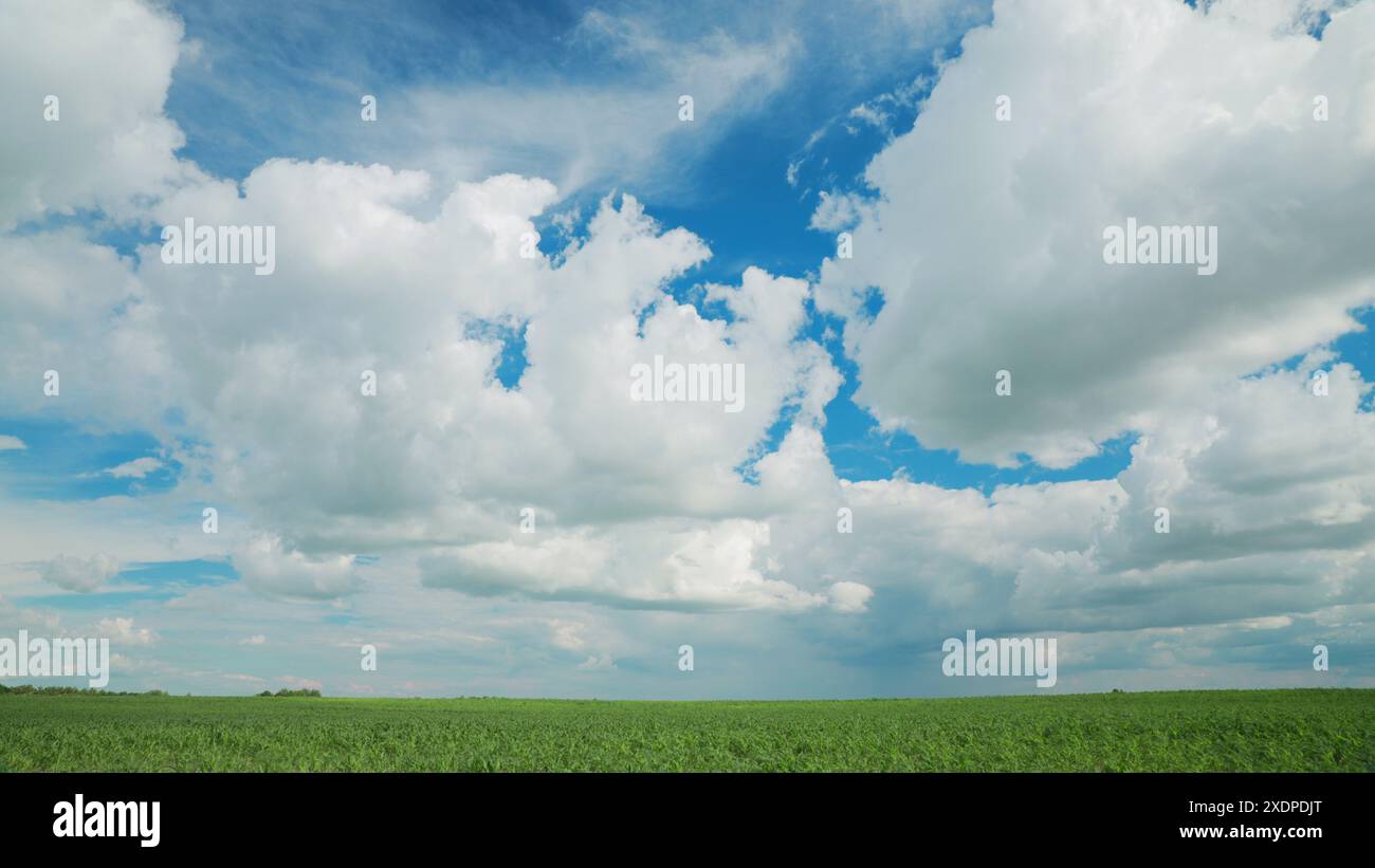 Time lapse corn field hi-res stock photography and images - Alamy