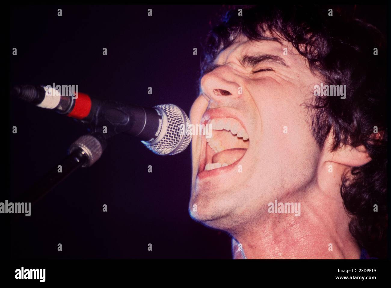 SUPER FURRY ANIMALS, CONCERT, CARDIFF, 1997: Gruff Rhys of the Super ...
