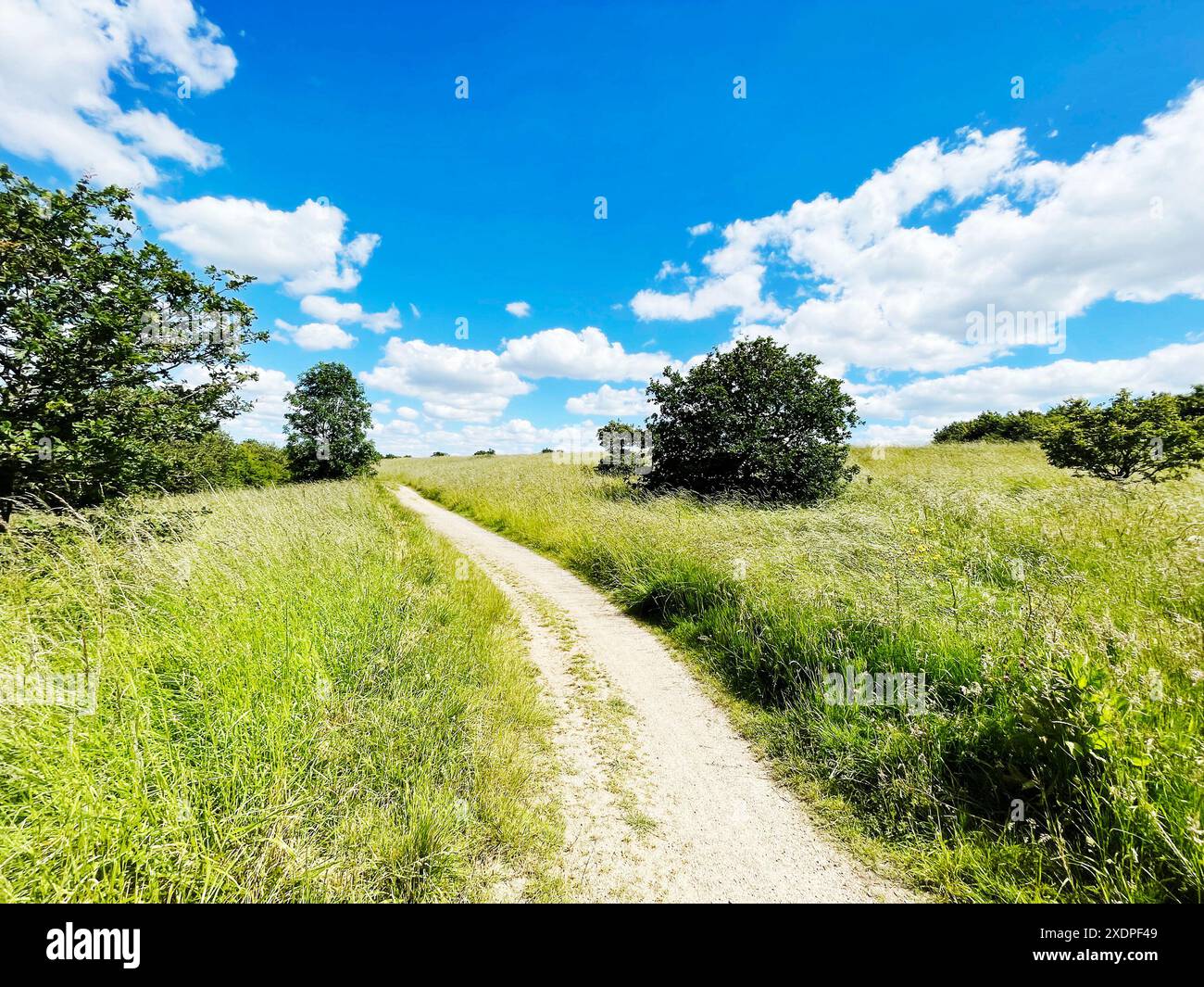 Country path in summer. Photo: Tony Gale Stock Photo - Alamy