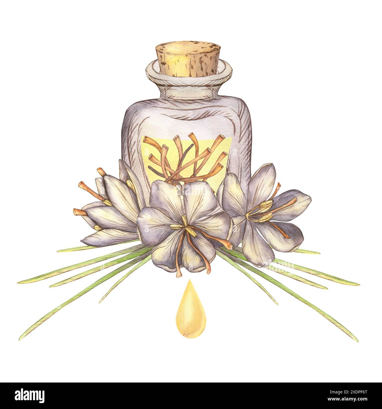 A composition with saffron flowers, stamens, a drop of oil and a bottle ...