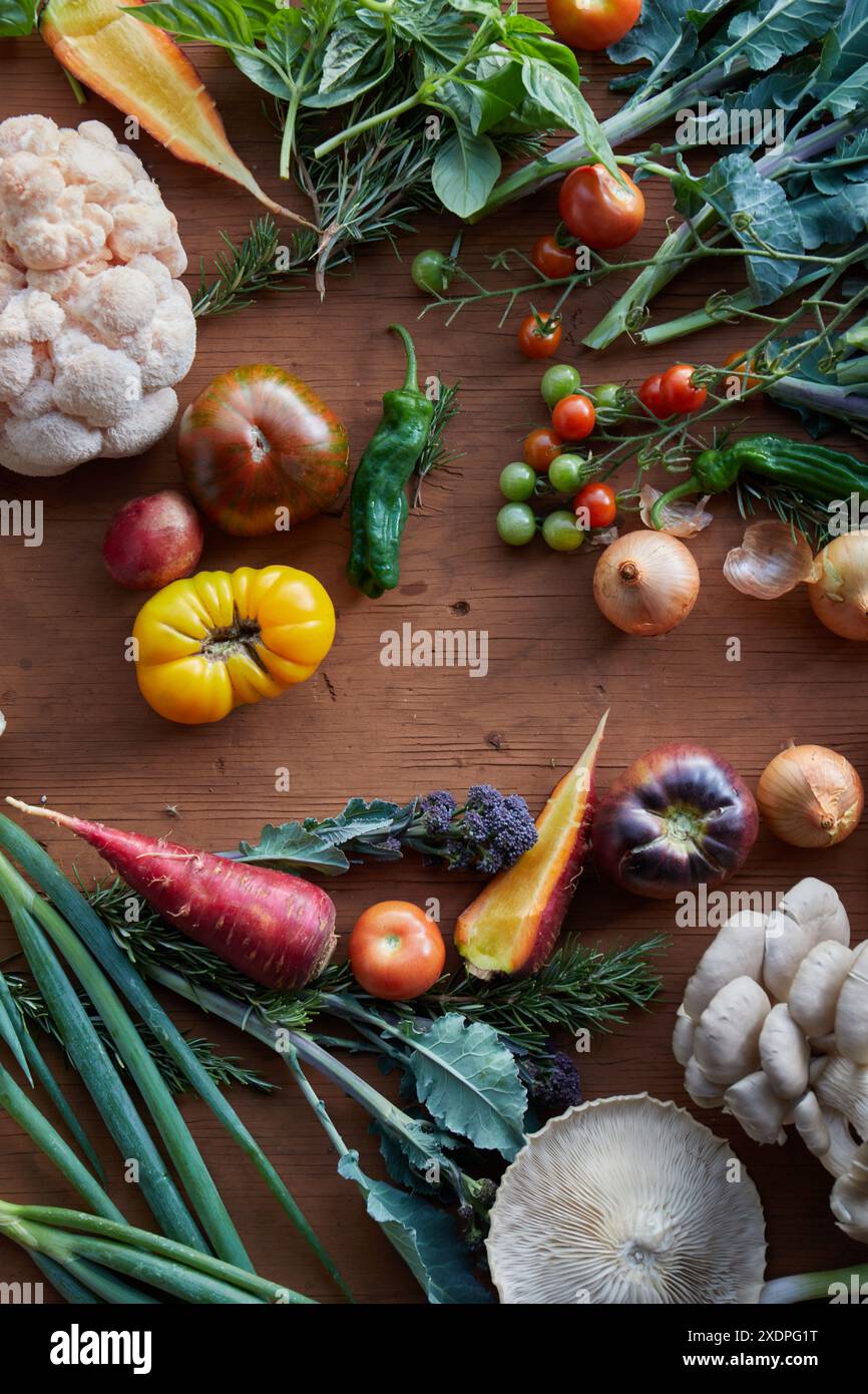 Organic Farm Fresh Vegtable Harvest Stock Photo - Alamy