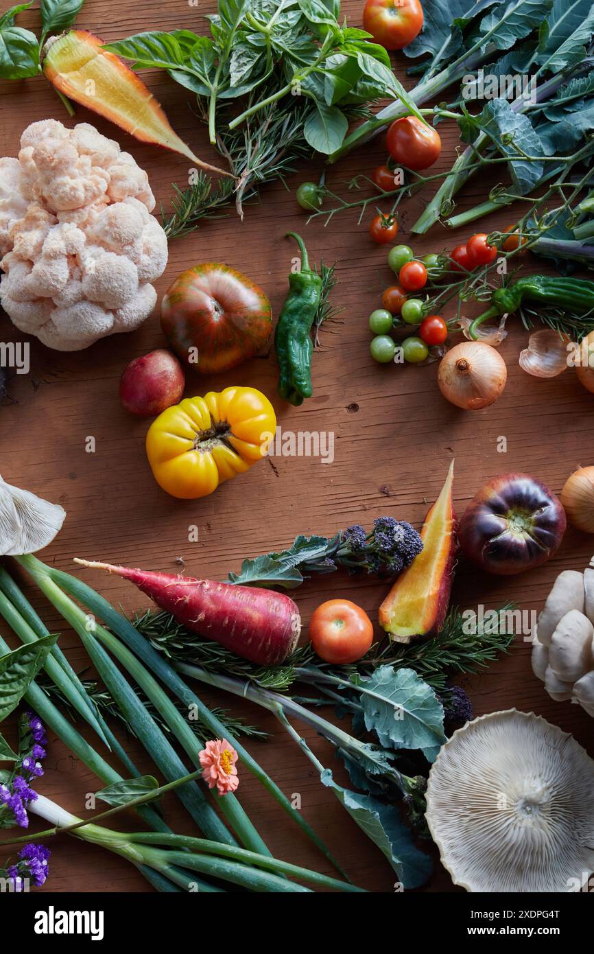 Organic Farm Fresh Vegtable Harvest Stock Photo - Alamy