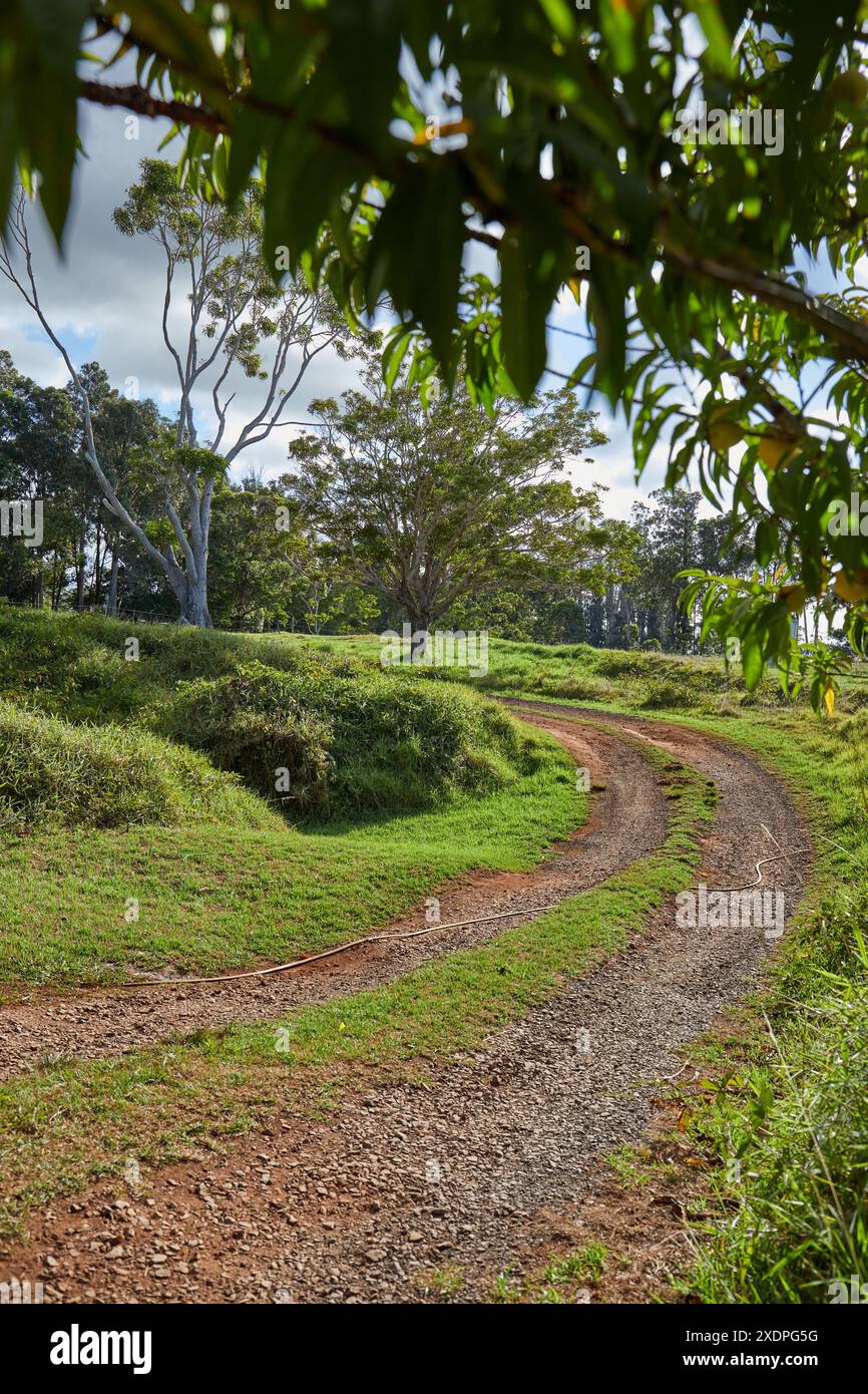 Country Road leading to Organic Farm Stock Photo - Alamy