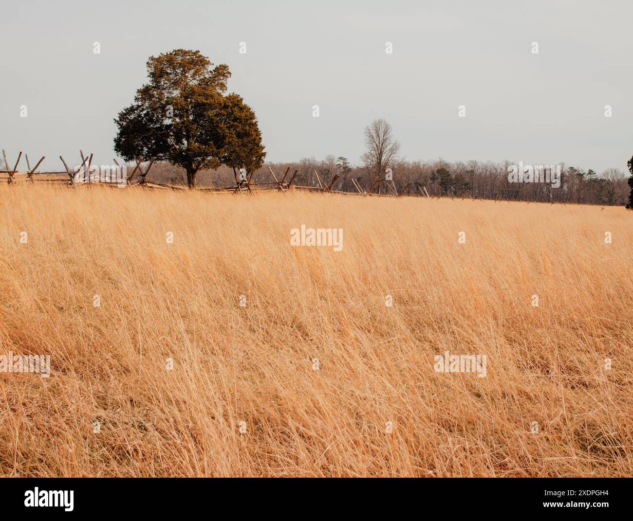 Summer time battle field landscape Stock Photo - Alamy