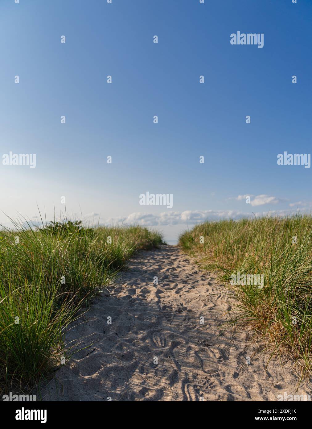 Sandy beach path with foot prints leading to clear blue sky Stock Photo ...