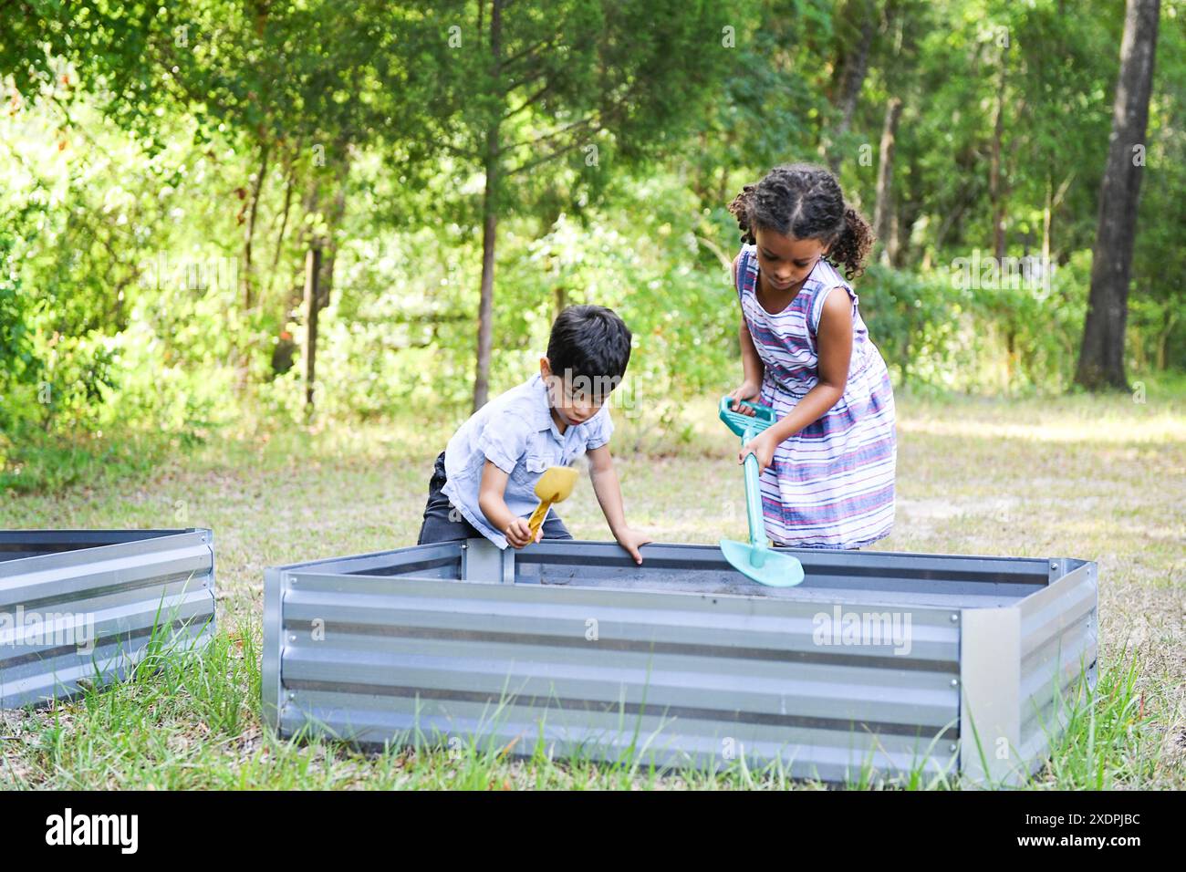 Two children digging in raised garden beds in a forested area Stock ...