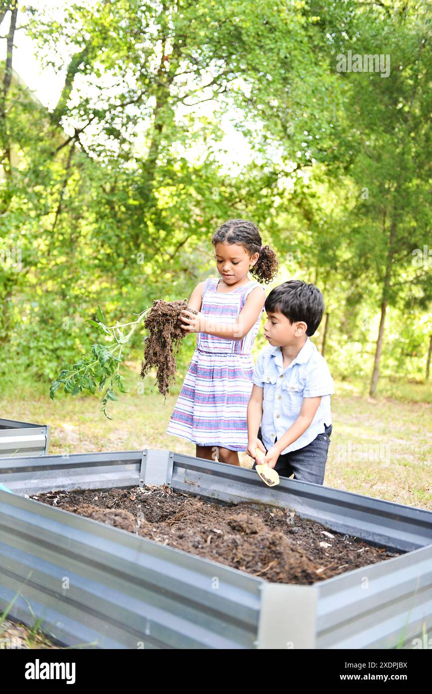 Children planting and digging in garden beds outdoors Stock Photo - Alamy
