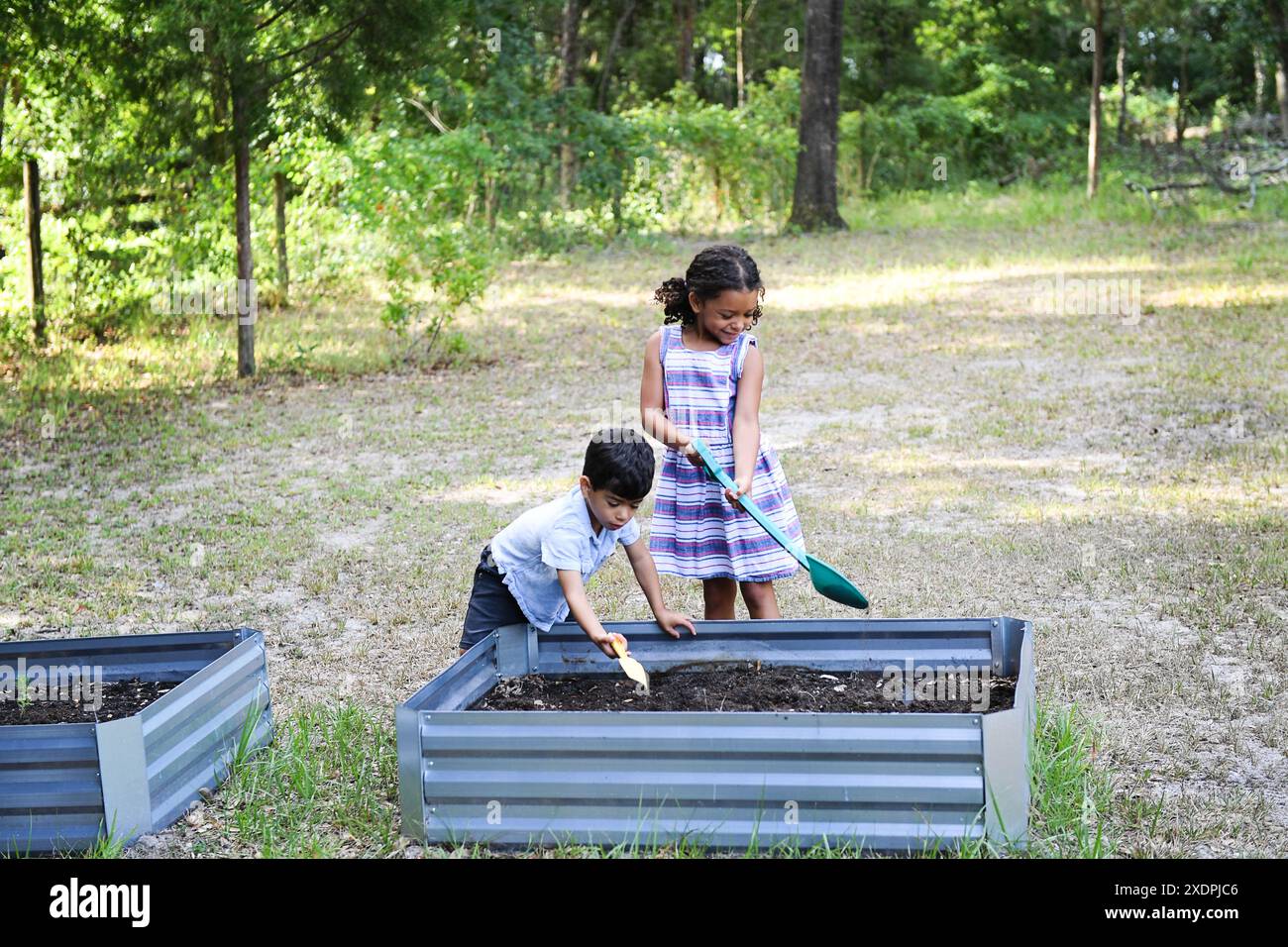 Two children digging in raised garden beds outdoors Stock Photo - Alamy