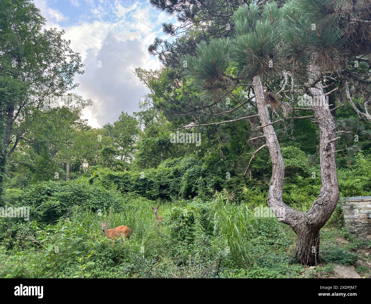 Eden adams hi-res stock photography and images - Alamy