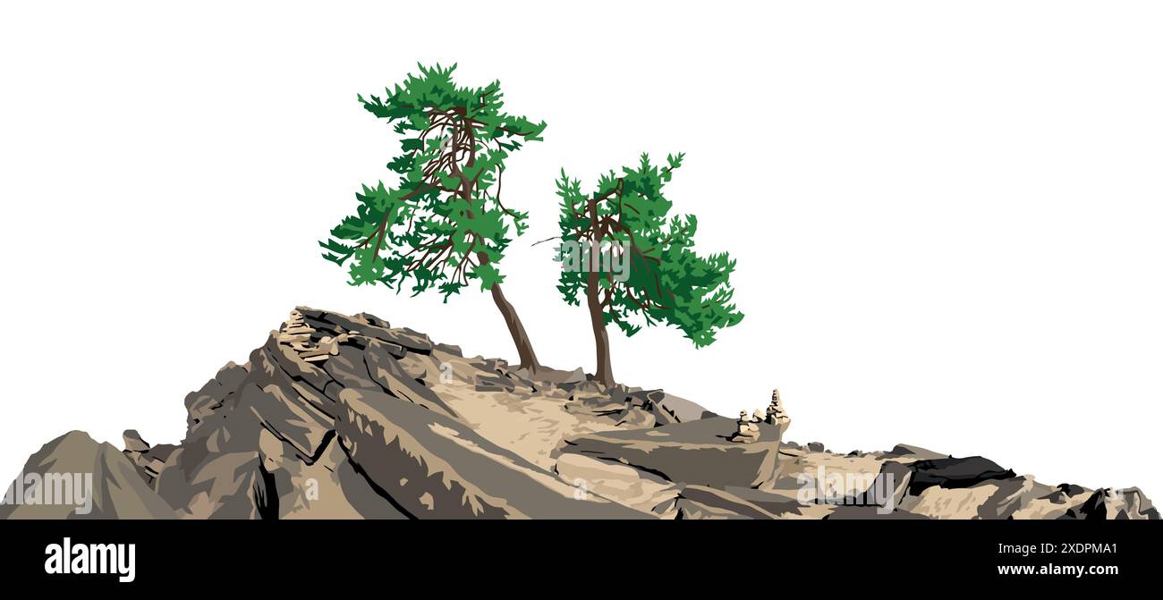 Trees, two pine trees on hill isolated on white sky background Stock ...