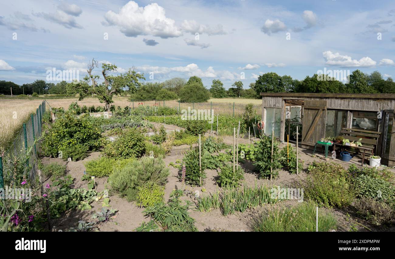 View green trees bushes hi-res stock photography and images - Alamy