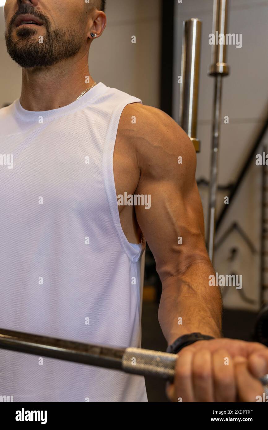 Muscular arm training biceps on bar in the gym Stock Photo - Alamy