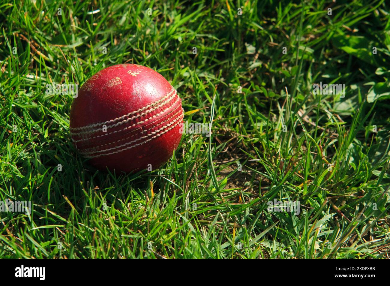 Cricket ball on grass hi-res stock photography and images - Alamy