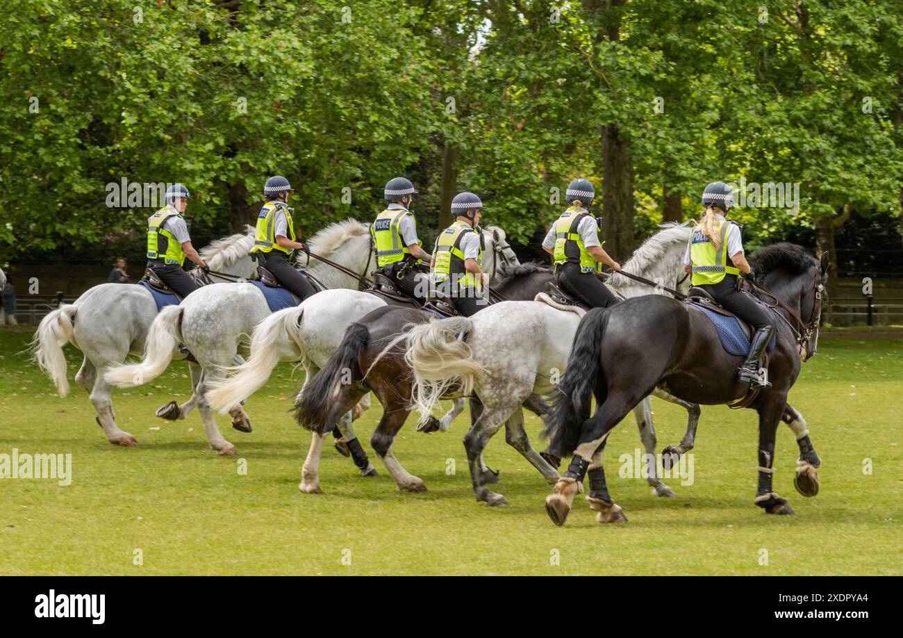 Mounted Metropolitan Police officers and their horses from the ...