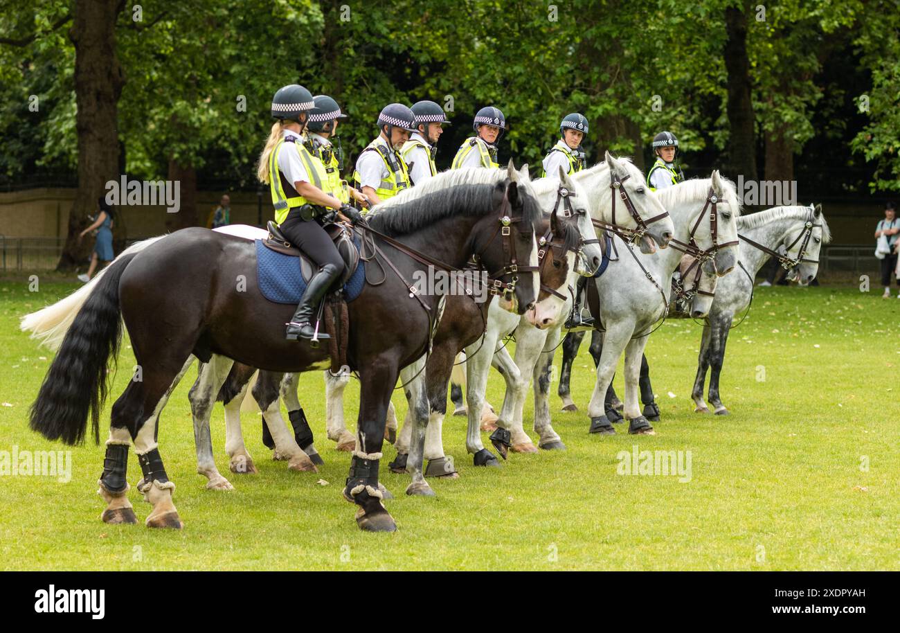 Mounted Metropolitan Police officers and their horses from the ...