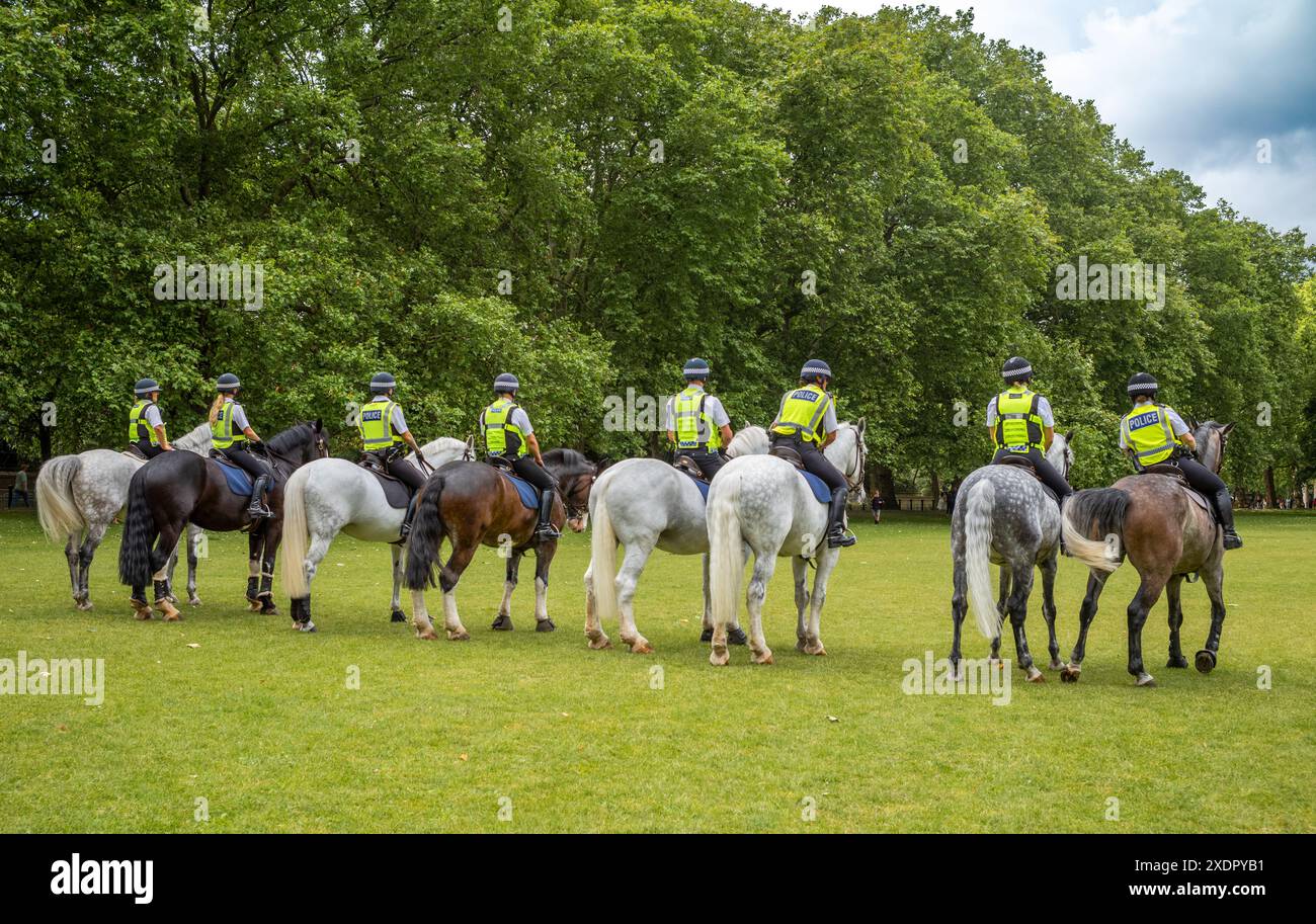 Mounted Metropolitan Police officers and their horses from the ...