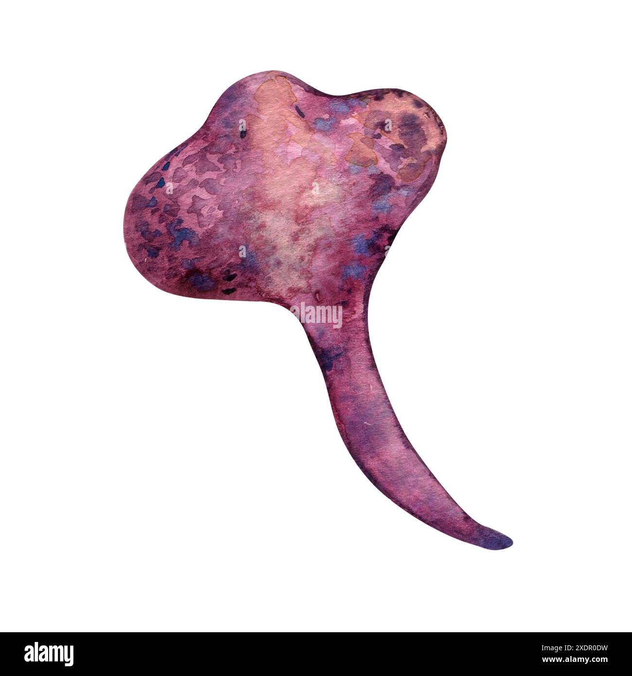 Ray fish watercolor illustration isolated. Underwater sea creature ...