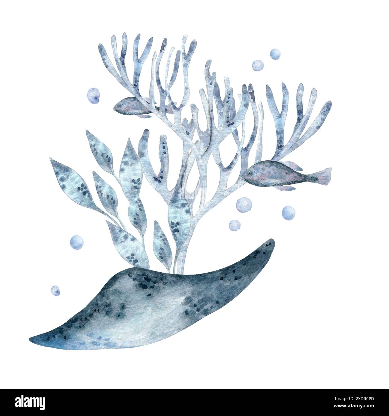 Underwater scene monochrome with coral, fish, and sea plants watercolor ...