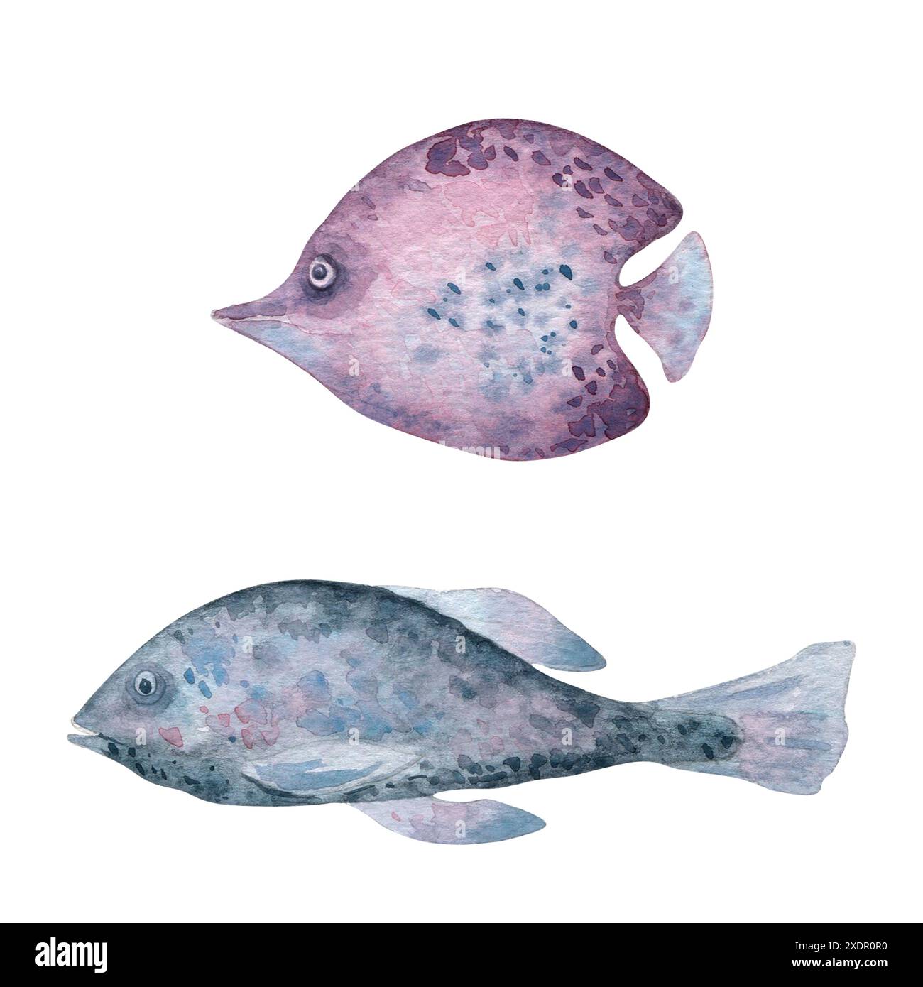 Monochrome dusty pink fishes in soft ruby and indigo tones watercolor ...