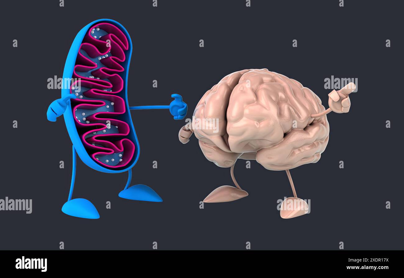 Fun 3D cartoon mitochondria and brain Stock Photo - Alamy