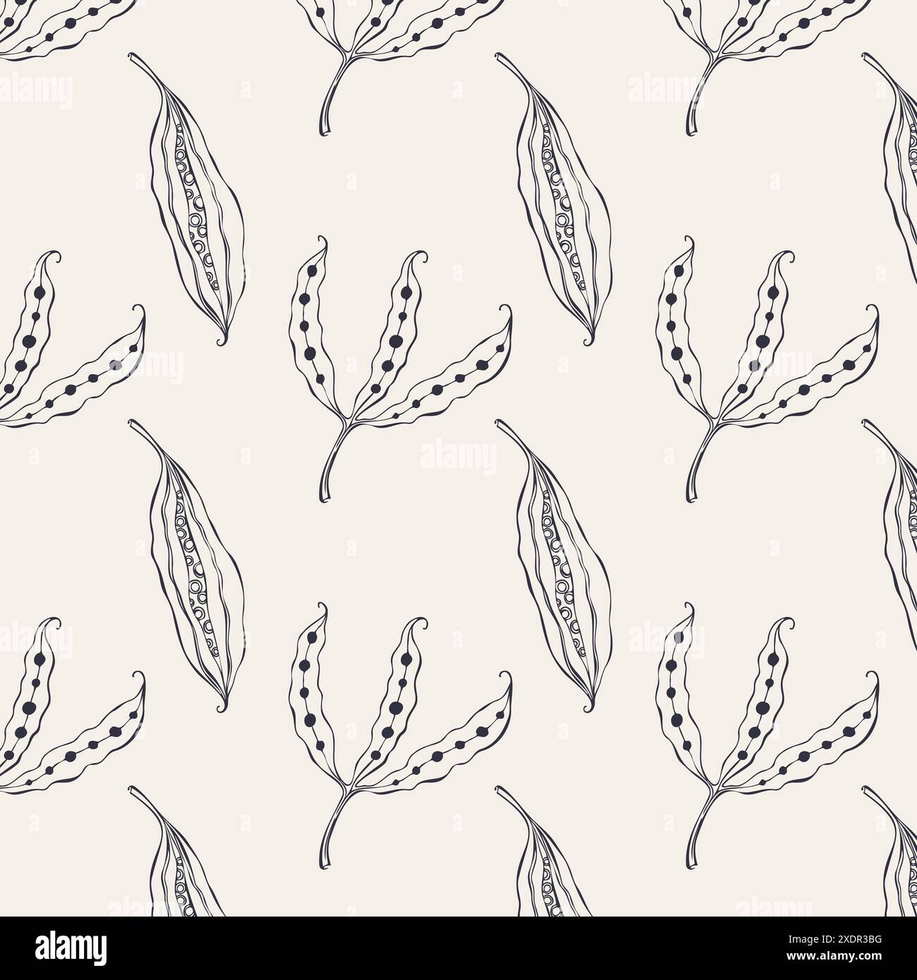 Botanical natural pattern with outline seed pods, hand drawn doodles on ...
