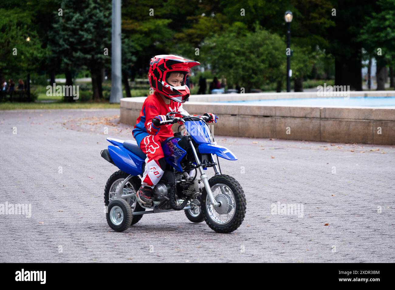 A young lad riding a kid's scooter with training wheels. In a park in ...