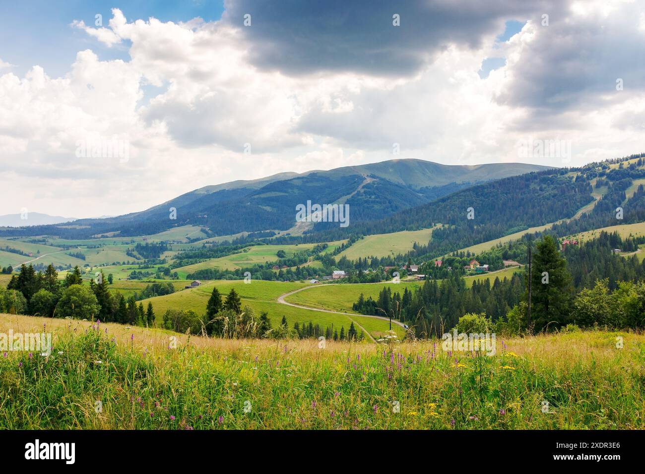 mountainous countryside landscape in summer. trees near the grassy ...