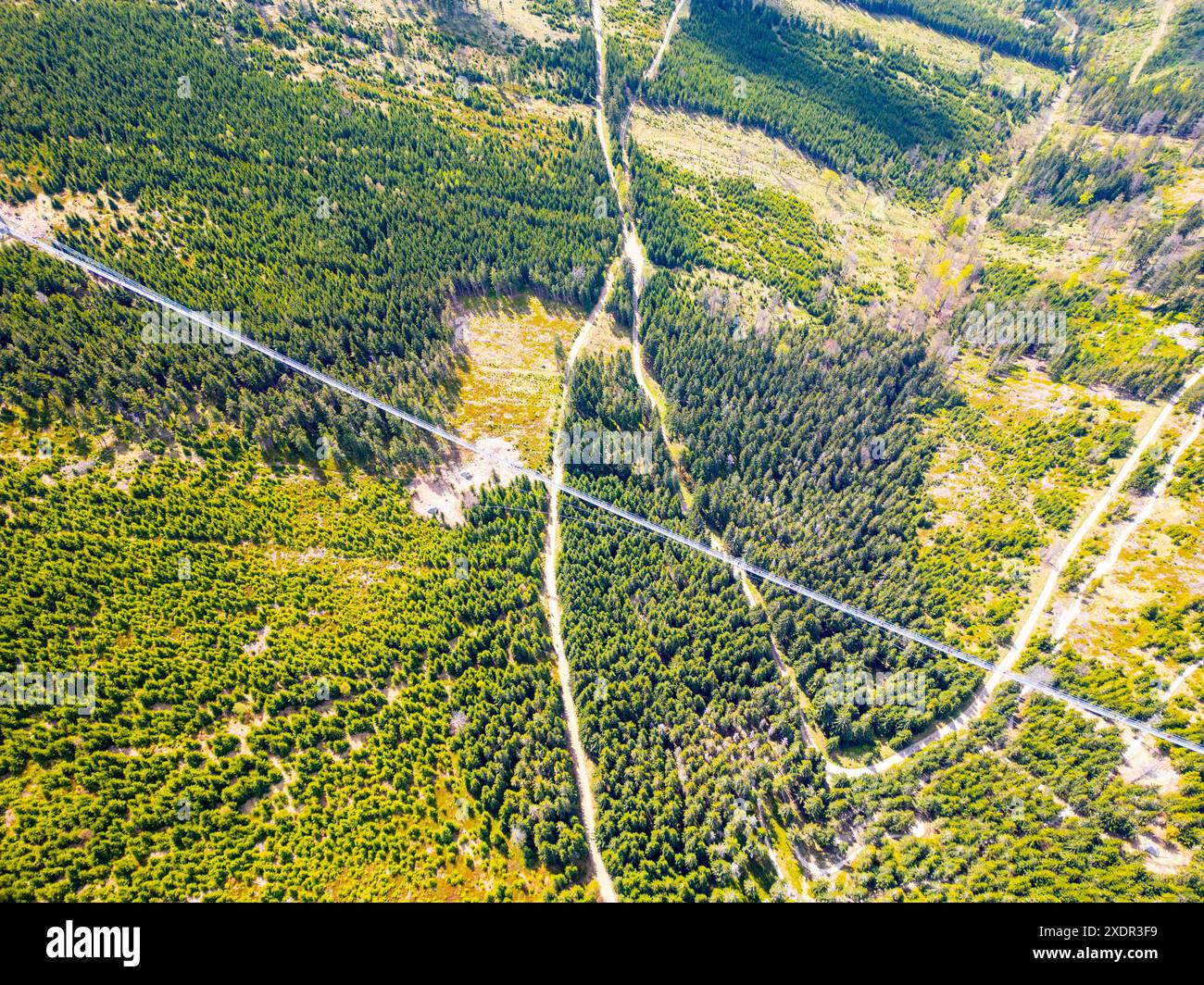 An aerial view of the forest surrounding the Sky Bridge 721 in Czechia ...