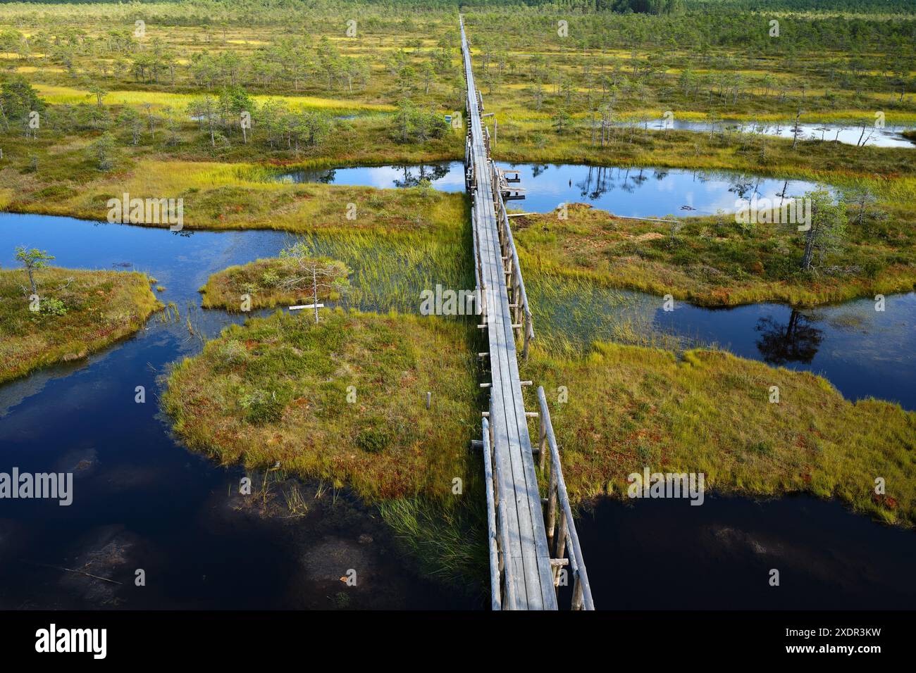 geography / travel, Estonia, Endla, hiking through moor in Endla Nature ...