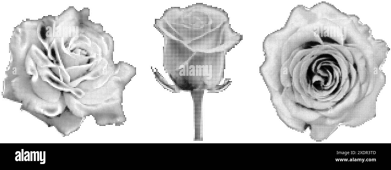 Set of halftone rose. Dots texture. Contemporary style, collage element ...