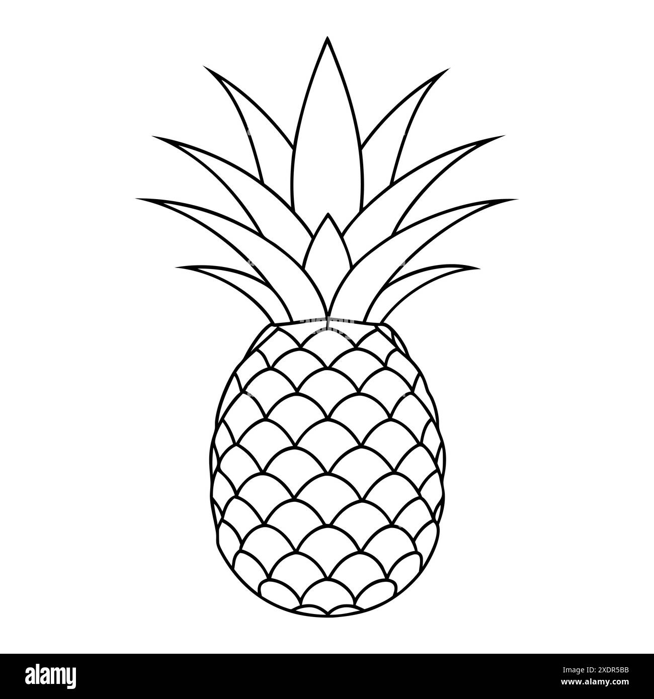 Pineapple line art illustration Stock Vector Image & Art - Alamy