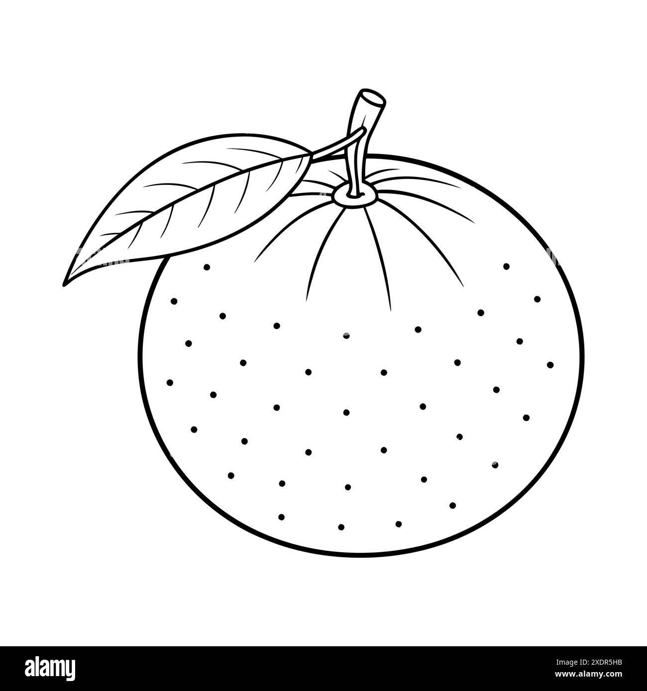 Orange line art illustration Stock Vector Image & Art - Alamy