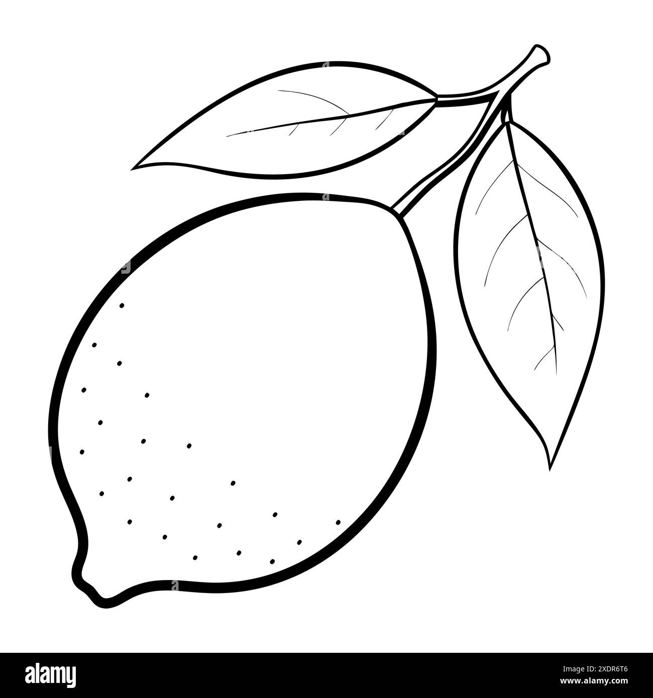 Lemon line art illustration Stock Vector Image & Art - Alamy