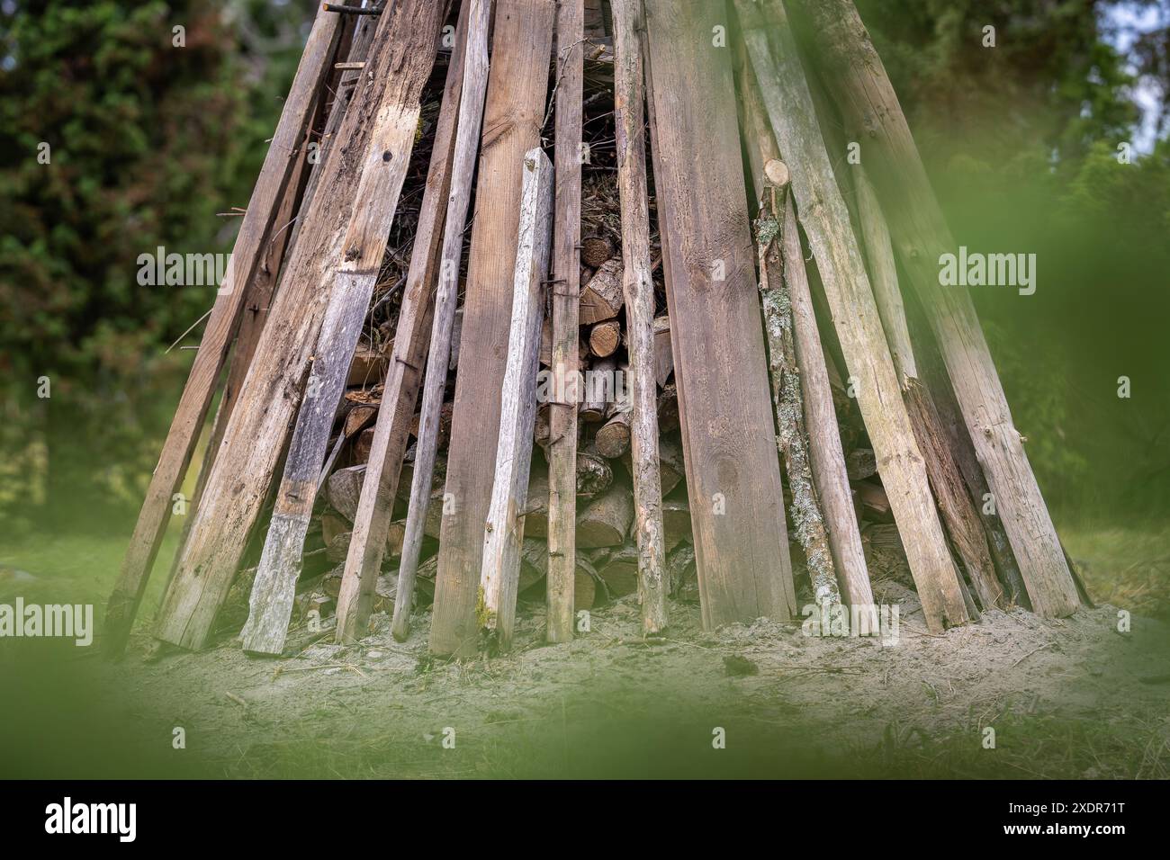 Preparation for a Bonfire. Midsummer bonfire on the beach meadow ...