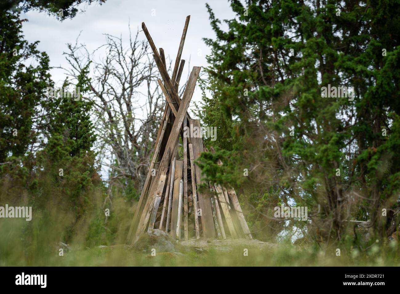 Preparation for a Bonfire. Midsummer bonfire on the beach meadow ...