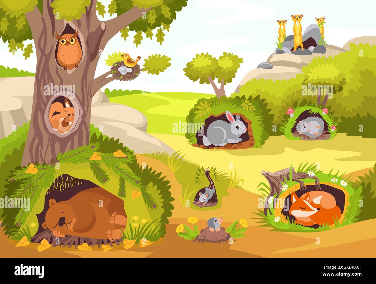 Burrows and animals Stock Vector Images - Alamy