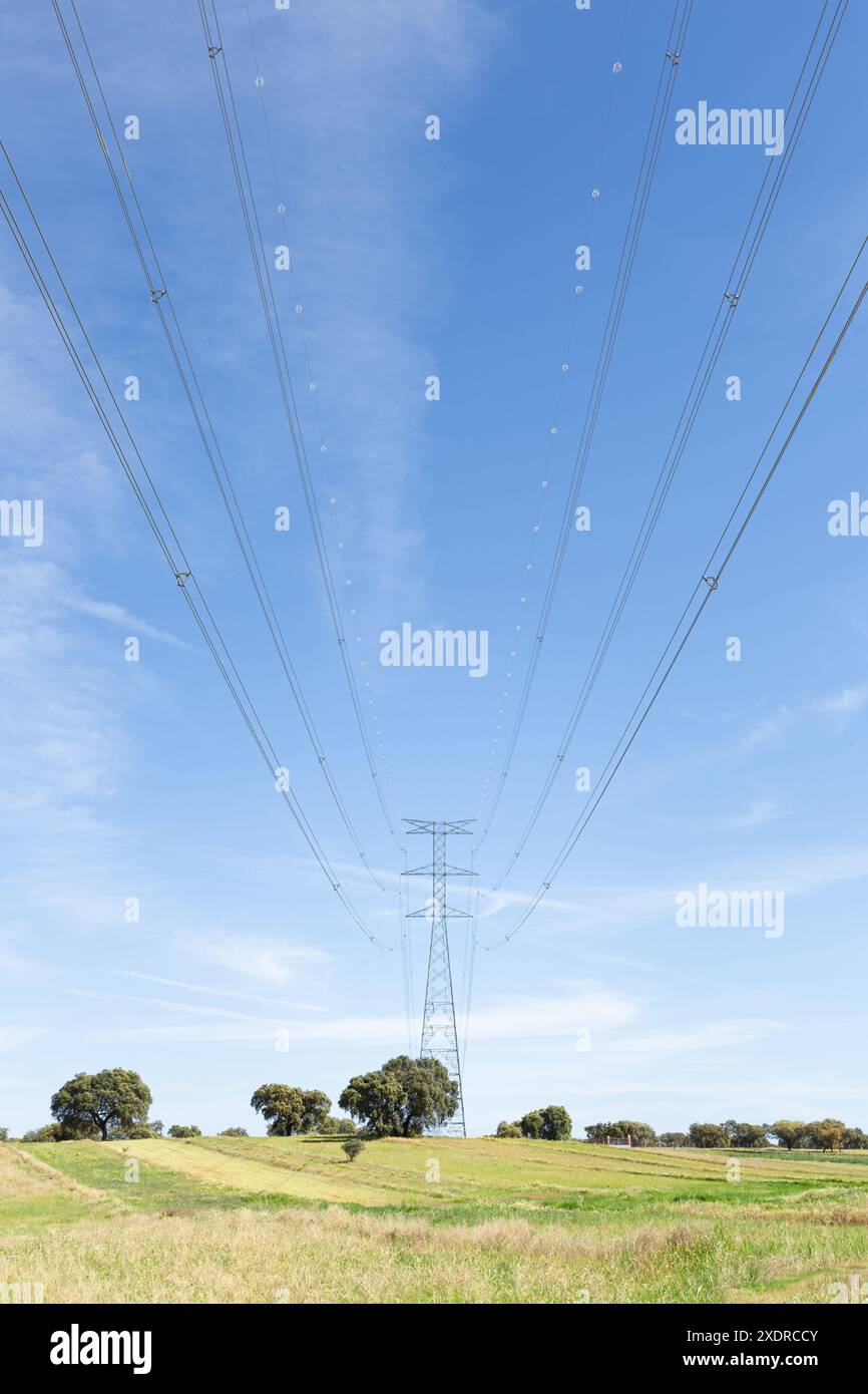 High voltage wiring in field. Tower is in background. Vertical Stock ...