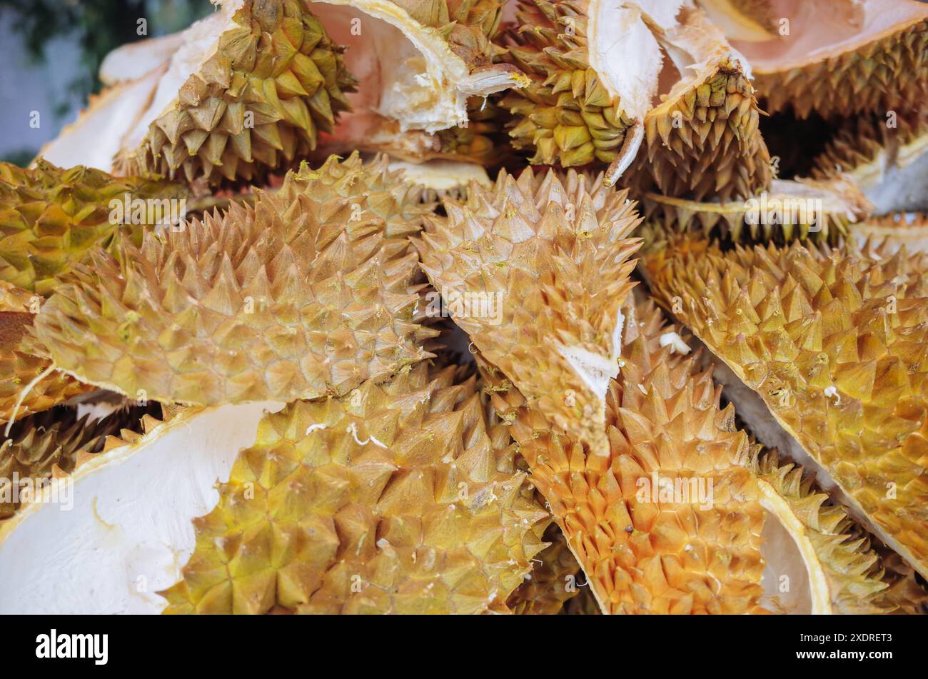 Pile durian hi-res stock photography and images - Alamy