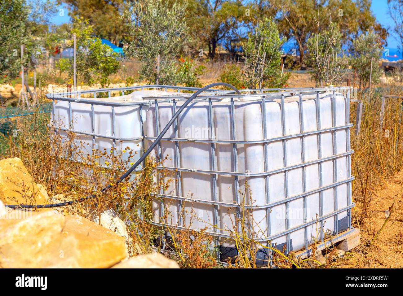 White plastic water container with a hose attached. Water container is ...